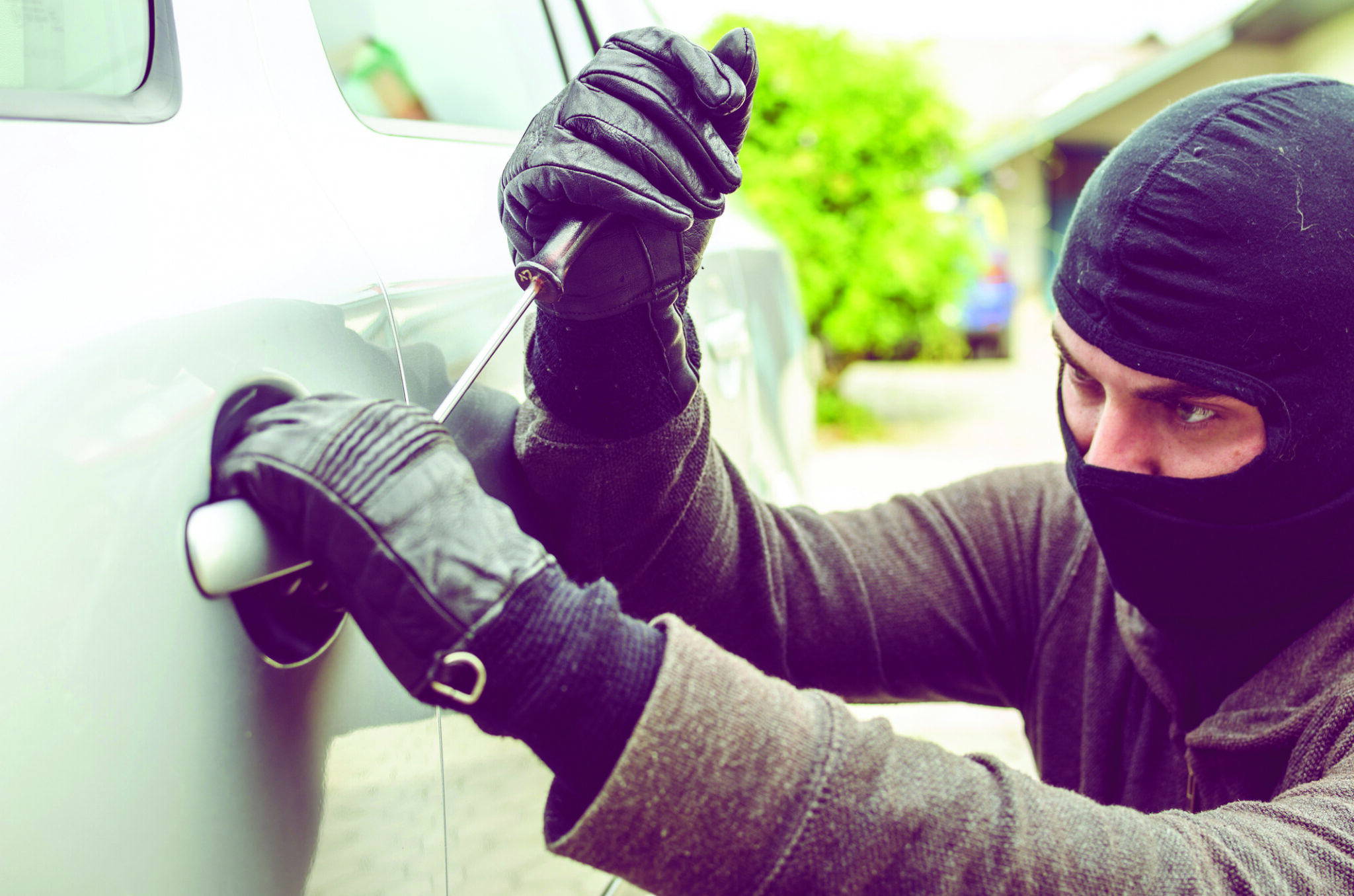 Vehicle Protection – First Canadian Financial Group