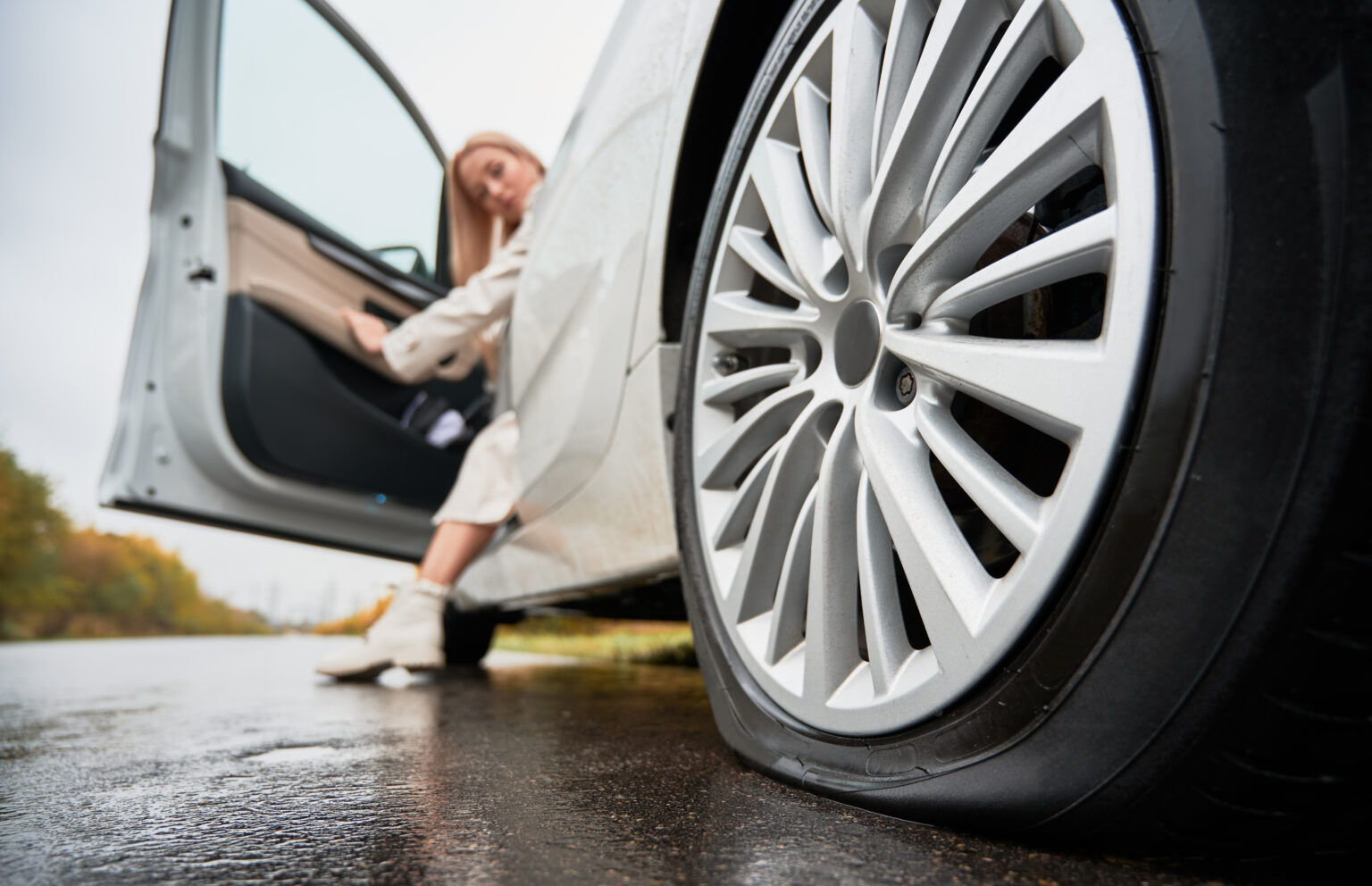 Vehicle Protection - First Canadian Financial Group